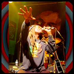 Lazo | Toronto's Top Reggae Band for Hire